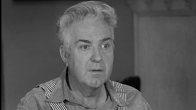 Watch Petticoat Junction S01:E20 - Last Chance Farm - Free TV Shows | Tubi