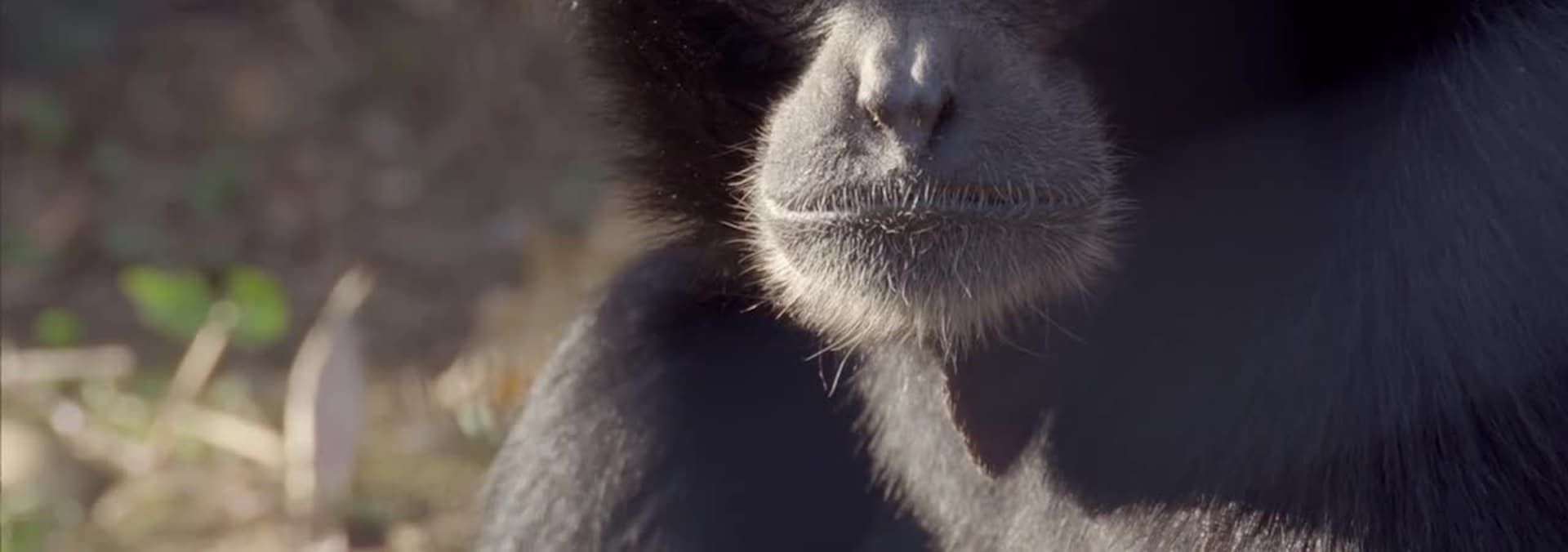 Watch The Big Feed S01:E05 - Hunger Games - Free TV Shows | Tubi