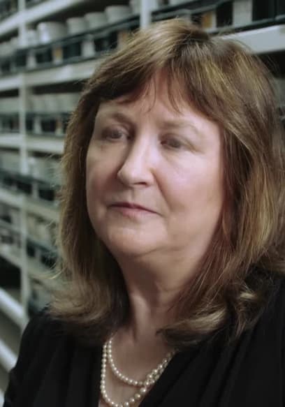 Watch Forensics : The Science of Crime S01:E01 - Bug Detectives - Free ...