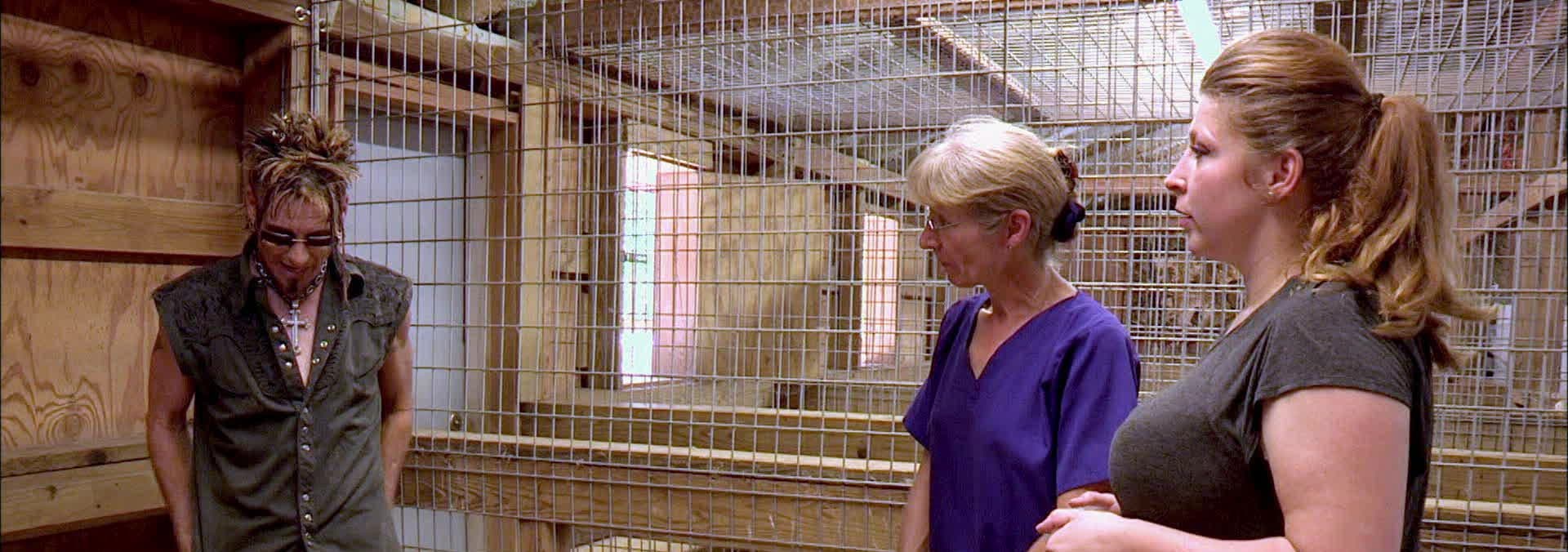 Watch Billy the Exterminator S06:E04 - Racoon Cage Match - Free TV ...