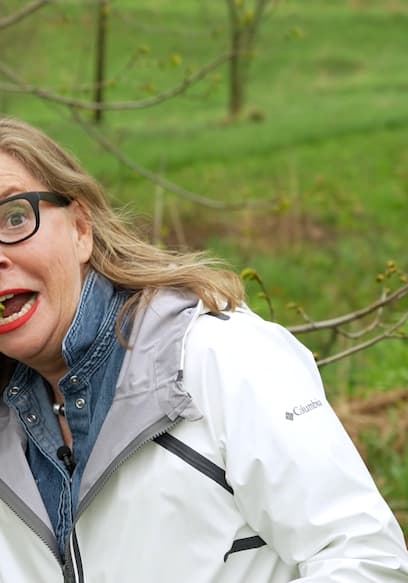 Watch Taste Buds With Stephanie S01:E21 - Foraging Feast - Free TV ...