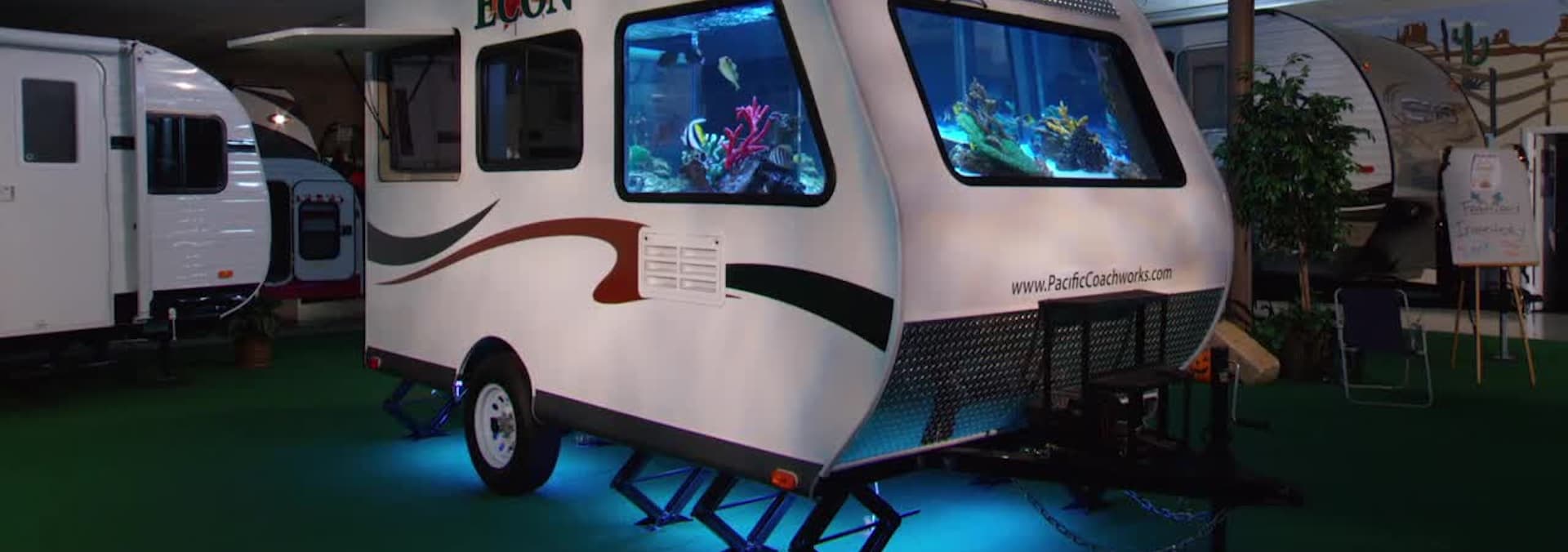 Watch Tanked S08:E11 - Tank You Come Again - Free TV Shows | Tubi