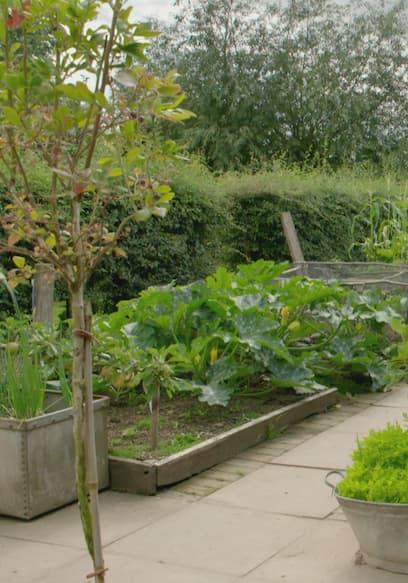 Watch Gardeners' World S07:E17 - Episode 17 - Free TV Shows | Tubi