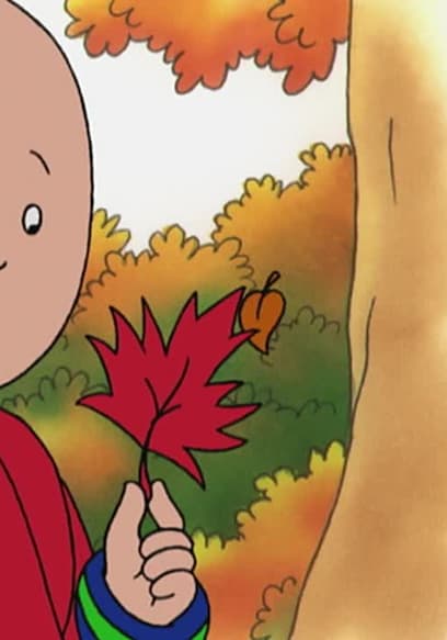 Watch Caillou S02:E83 - Caillou's Suitcase // Try, Try Again // the New ...