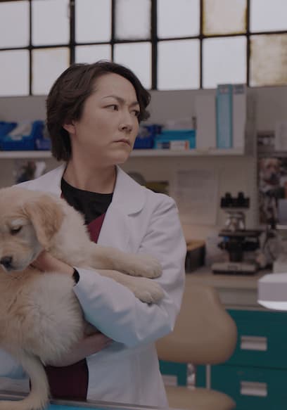 Watch Strays S01:E05 - Girls Night - Free TV Shows | Tubi