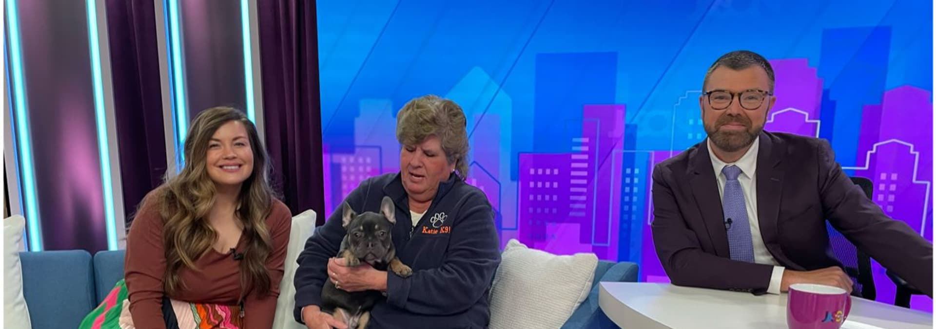 Watch The Jason Show S10:E92 - Katie K9 Shares Tips and Tricks for ...