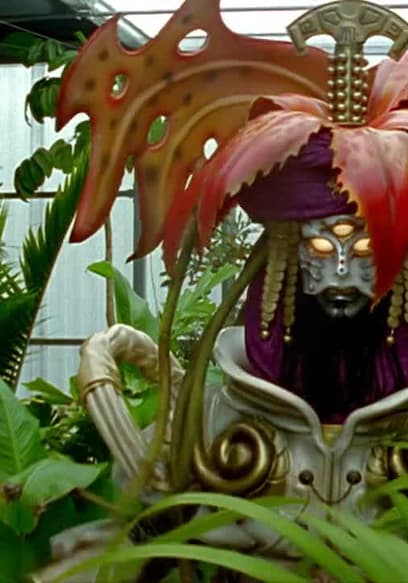 Watch Power Rangers Ninja Storm S11:E08 - Nowhere to Grow - Free TV ...