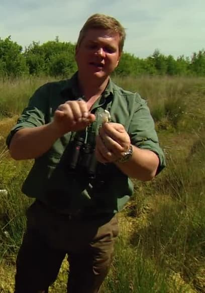 Watch Wild Britain With Ray Mears S01:E04 - Wetlands - Free TV Shows | Tubi