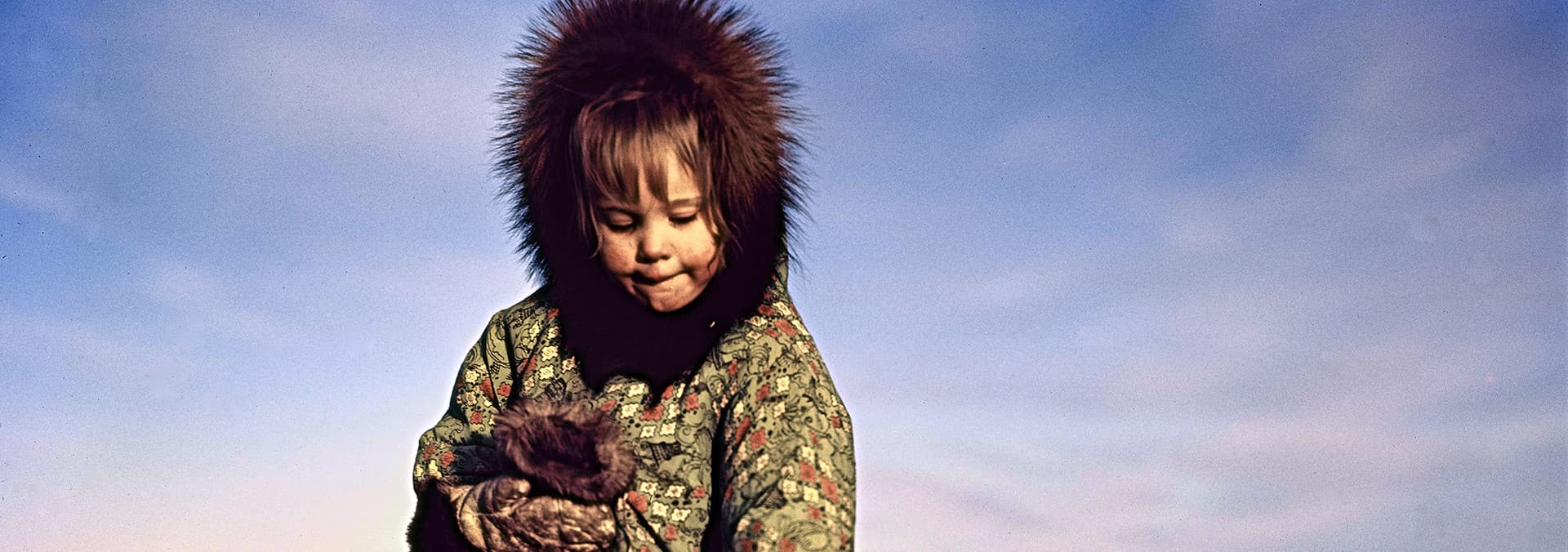 Watch Arctic Daughter: A Lifetime of Wilderness (2018) - Free Movies | Tubi