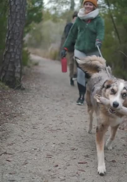 Watch Becoming Borderless S01:E06 - Build a Ladder - Free TV Shows | Tubi