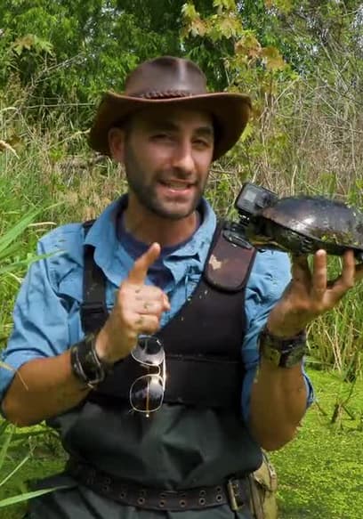 Watch Brave Wilderness S06:E09 - Turtle Rescue Mission - Free TV Shows ...