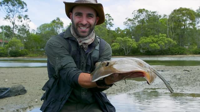 Watch Brave Wilderness S06:E07 - Shark Attack - Free TV Shows | Tubi