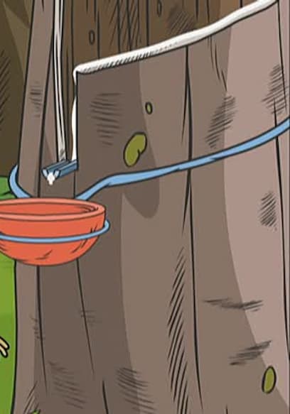 Watch The Cat in the Hat Knows a Lot About That! S02:E03 - Bounce ...