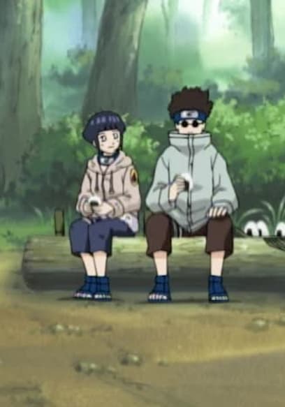 Watch Naruto (Dubbed) S03:E148 - The Search for the Rare Bikochu Beetle ...