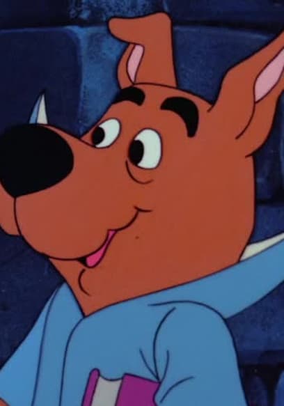 Watch Scooby-Doo and Scrappy-Doo S05:E03 - Wizards and Warlocks ...