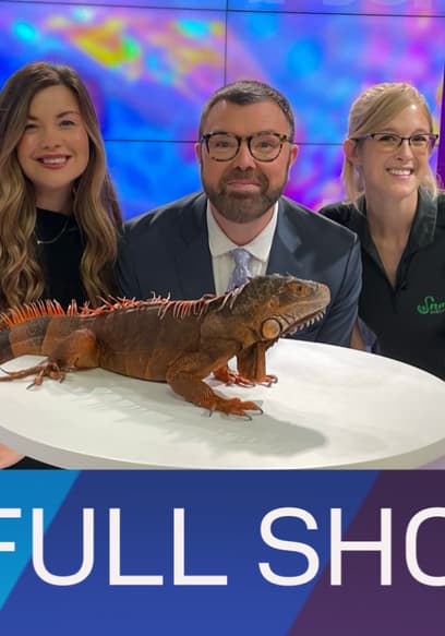 Watch The Jason Show S10:E38 - Emily From Snake Discovery Returns With ...