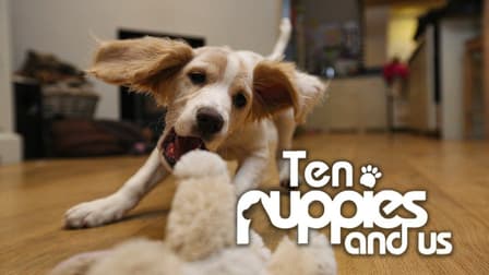 Watch Ten Puppies and Us - Free TV Shows | Tubi