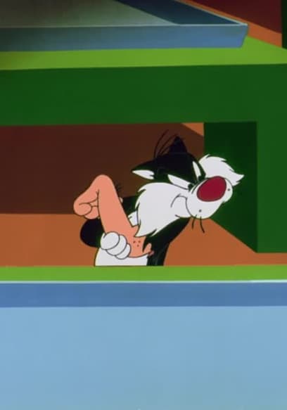 Watch The Sylvester & Tweety Mysteries S05:E01 - This Is the Kitty/An ...