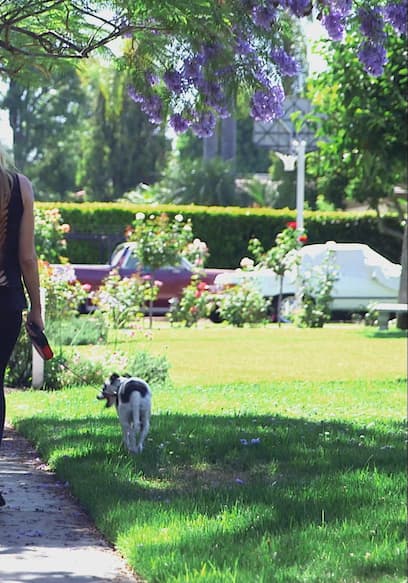 Watch Ex-Wives of Rock S03:E312 - Terror N' Tinseltown - Free TV Shows ...