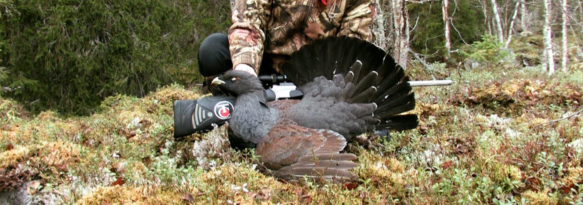 Watch Jim Shockey's Hunting Adventures S13:E02 - A Father Son Black ...