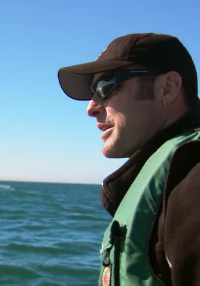 Watch Nick Baker’s Weird Creatures S03:E02 - Worm Lizard - Free TV Shows | Tubi