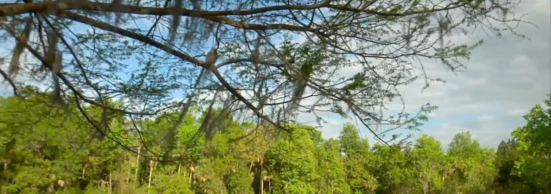 Watch How to Do Florida S04:E03 - How to Do Top 5 Camping Moments ...