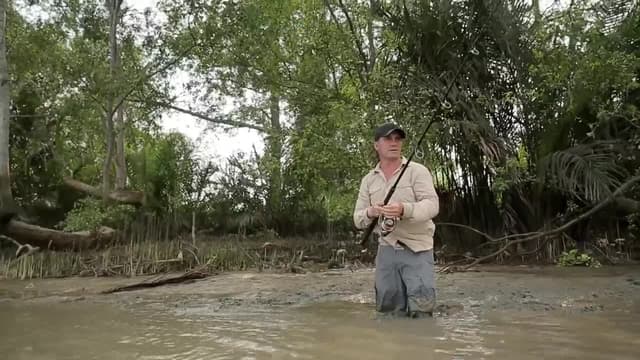 Watch Chasing Monsters S02:E07 - Tropical Titan - Free TV Shows | Tubi