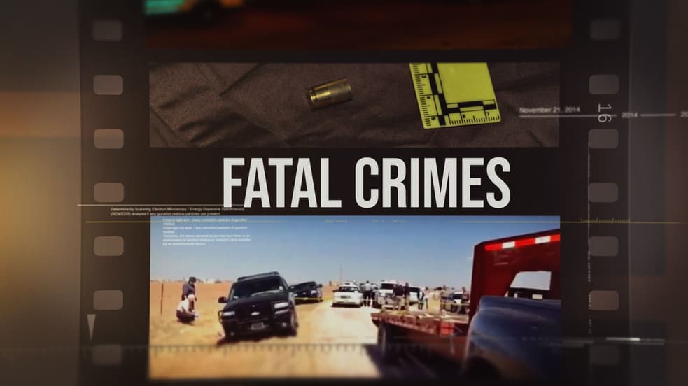 Watch Fatal Crimes Streaming Online | Tubi Free TV