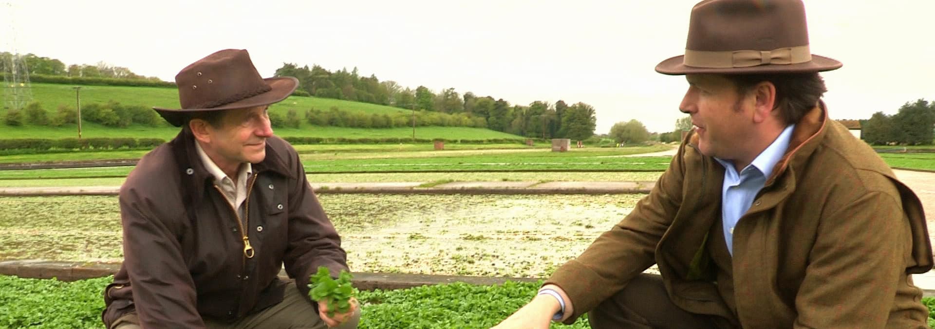 Watch Great British Food Revival S03:E01 - Michel Roux Jr on ...