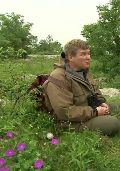 Watch Wild Britain With Ray Mears S03:E03 - Yorkshire Dales Limestone ...