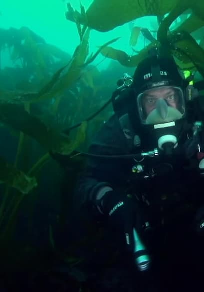 Watch Hundidos S01:E08 - HMS Serpent - Free TV Shows | Tubi