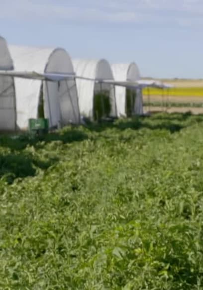 Watch Cocina al punto con Peña y Tamara S01:E45 - Algas. Fiambreras ...