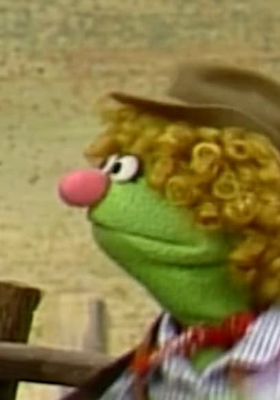 Watch Sesame Street S23:E66 - Elmo Pretends to Be a Flower - Free TV ...