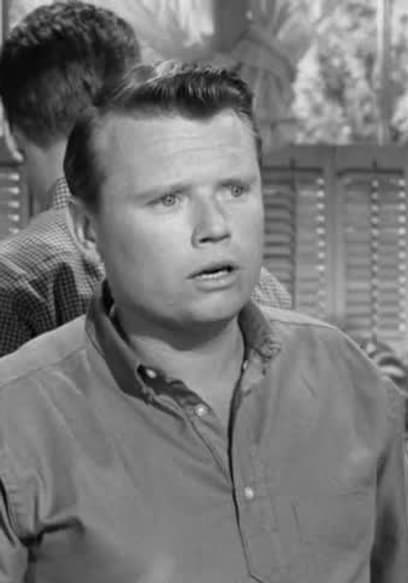 Watch The Adventures of Ozzie and Harriet S08:E28 - Big Plans for the ...