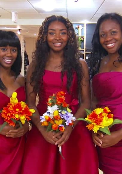 Watch Say Yes to the Dress: Bridesmaids S03:E13 - Potty Party - Free TV ...