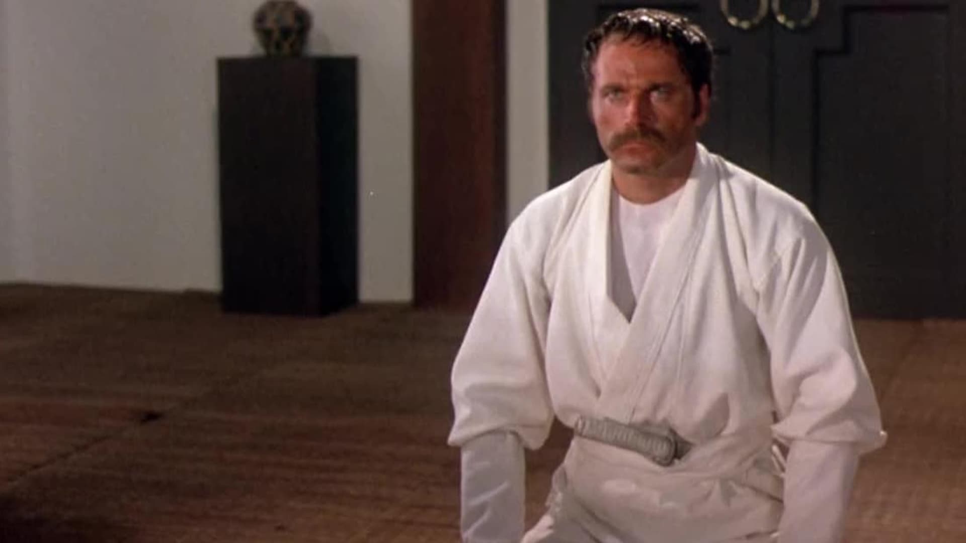 Watch Enter the Ninja (1981) - Free Movies | Tubi