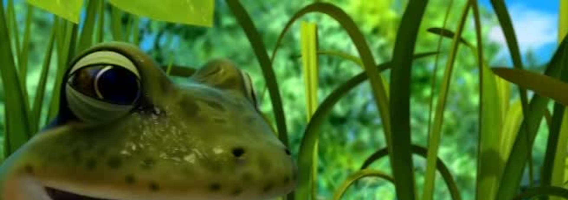 Watch Miss Spider (Español) S02:E11 - La Rana Secreta / - Free TV Shows ...