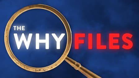 Watch The Why Files Season 2 - Free TV Shows | Tubi