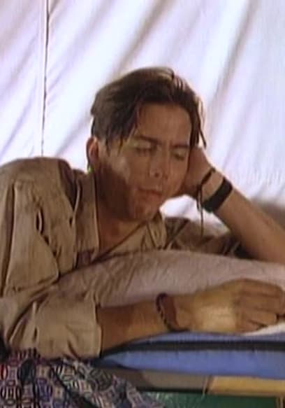 Watch Tarzan: King of the Jungle S02:E10 - Tarzan and the Fire Field ...