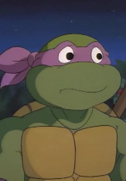 Watch Teenage Mutant Ninja Turtles S07:E17 - Elementary, My Dear Turtle - Free TV Shows | Tubi
