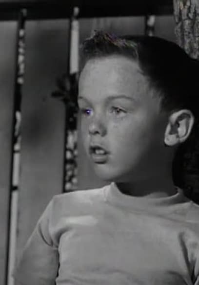 Watch Dennis the Menace S01:E14 - Dennis' Tree House - Free TV Shows | Tubi