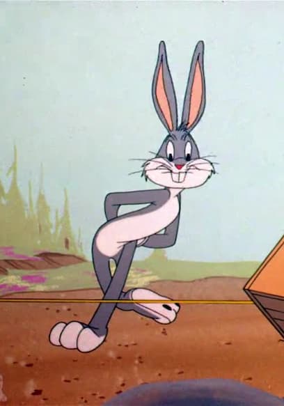 Watch Looney Tunes S09:E07 - Hare Remover / Hair-Raising Hare / The ...