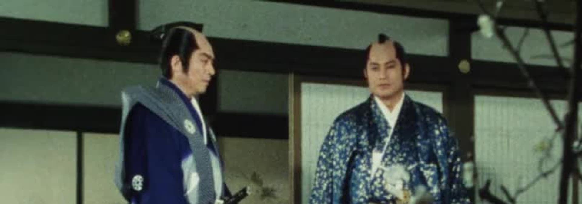 Watch The Yoshimune Chronicle: Abarenbo Shogun S02:E188 - Wild ...