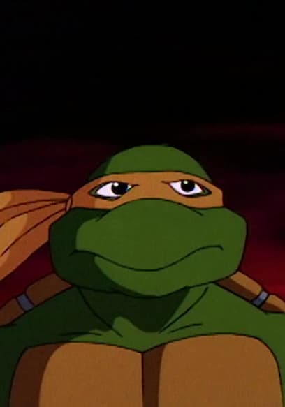 Watch Teenage Mutant Ninja Turtles S08:E03 - Cyber-Turtles - Free TV ...