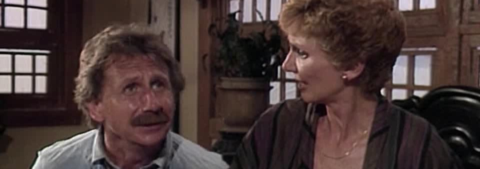 Watch Benson S06:E07 - Made in Hong Kong (Pt. 2) - Free TV Shows | Tubi