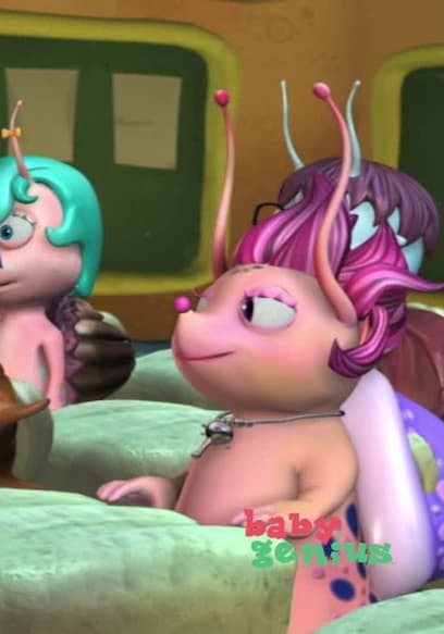 Watch Shelldon S01:E101 - Crabby's School Daze - Free TV Shows | Tubi