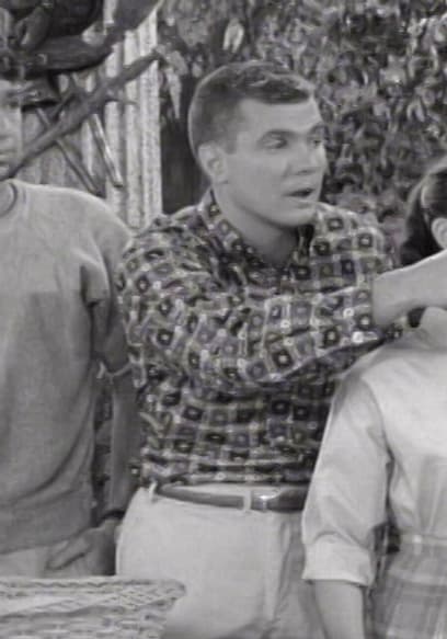 Watch The Many Loves of Dobie Gillis S02:E03 - Baby Talk - Free TV ...