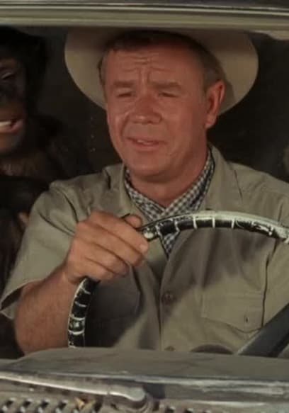 Watch Daktari S03:E16 - The Elephant Raid (Pt. 2) - Free TV Shows | Tubi