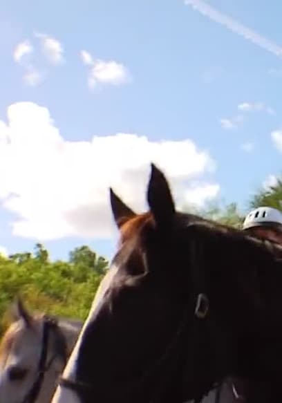 Watch How to Do Florida S04:E03 - How to Do Top 5 Camping Moments ...