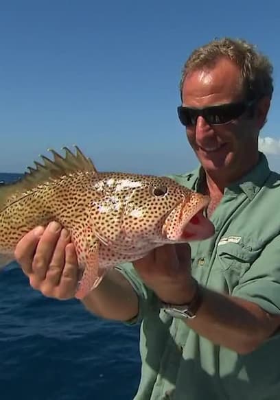 Watch Extreme Fishing S03:E07 - Cuba - Free TV Shows | Tubi